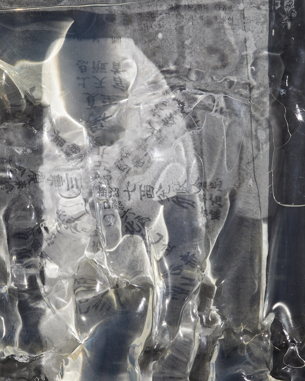 Information — Haena Yoo