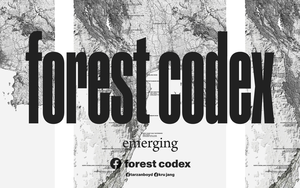 forest codex