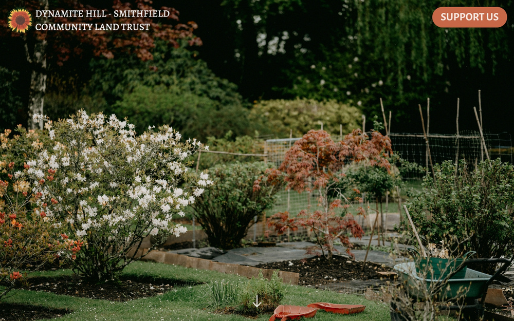 Dynamite Hill-Smithfield CLT