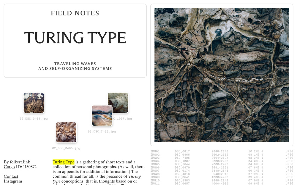 Turing Type by Folkert Gorter