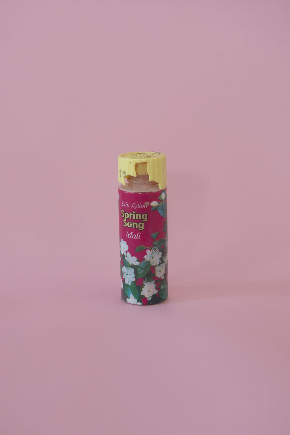 Spring Song — munemwasif