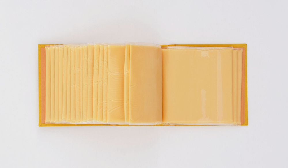 Ben Denzer - 20 Slices of American Cheese (2018) : r/museum