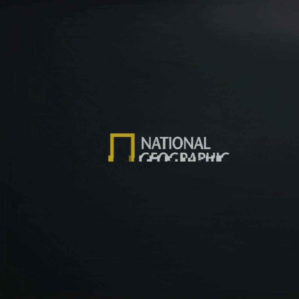 Nat Geo Channel Logo