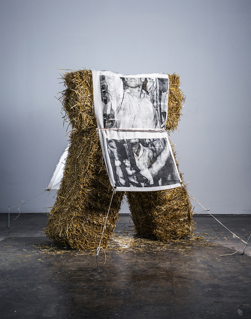 Harvest, Rapture — Cass Davis