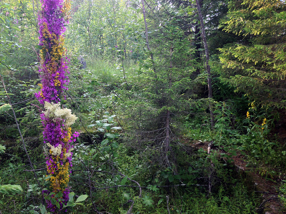 Monuments to decay — marlainaread