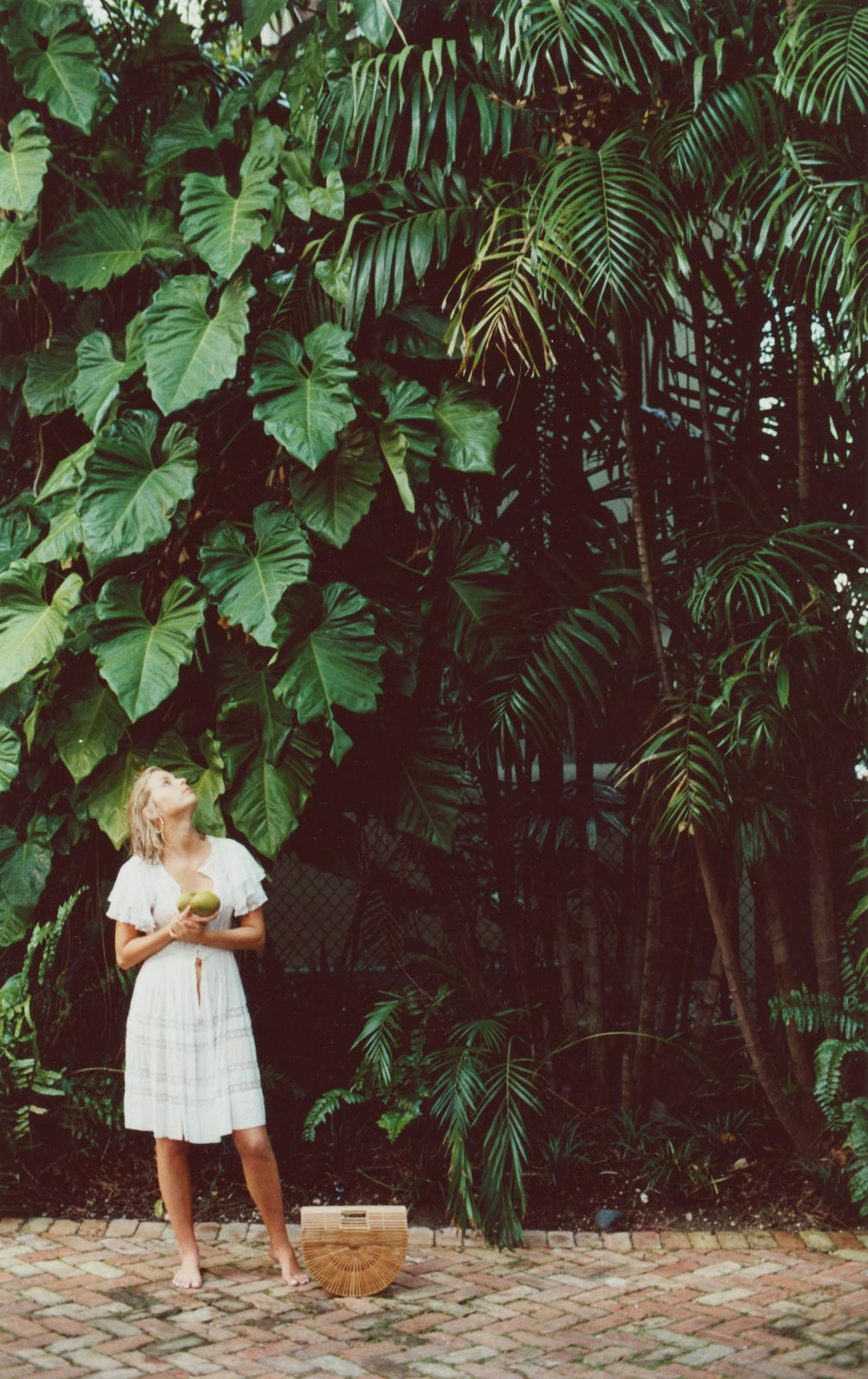 Blue Lagoon — Wiissa