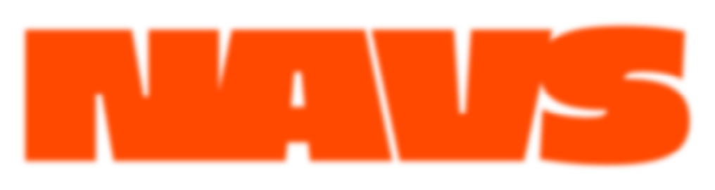 Logo + Menu — NAVS [DIRECTOR]
