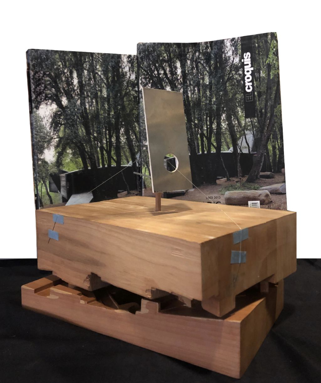 75. CON8-1 (+) — mcr+jag