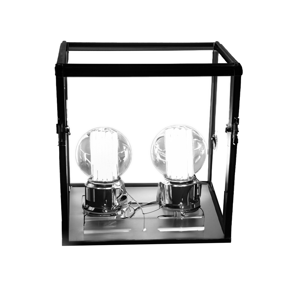 IL VERSIFICATORE (2023) — Share Project