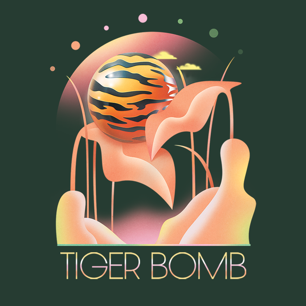 ABOUT — TIGER BOMB PROMO