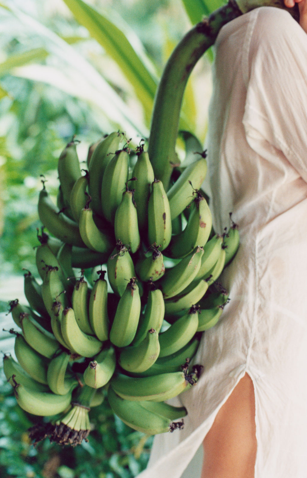 Blue Lagoon — Wiissa