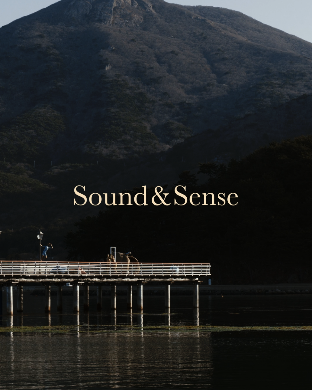 Sound & Sense Film — understands.works