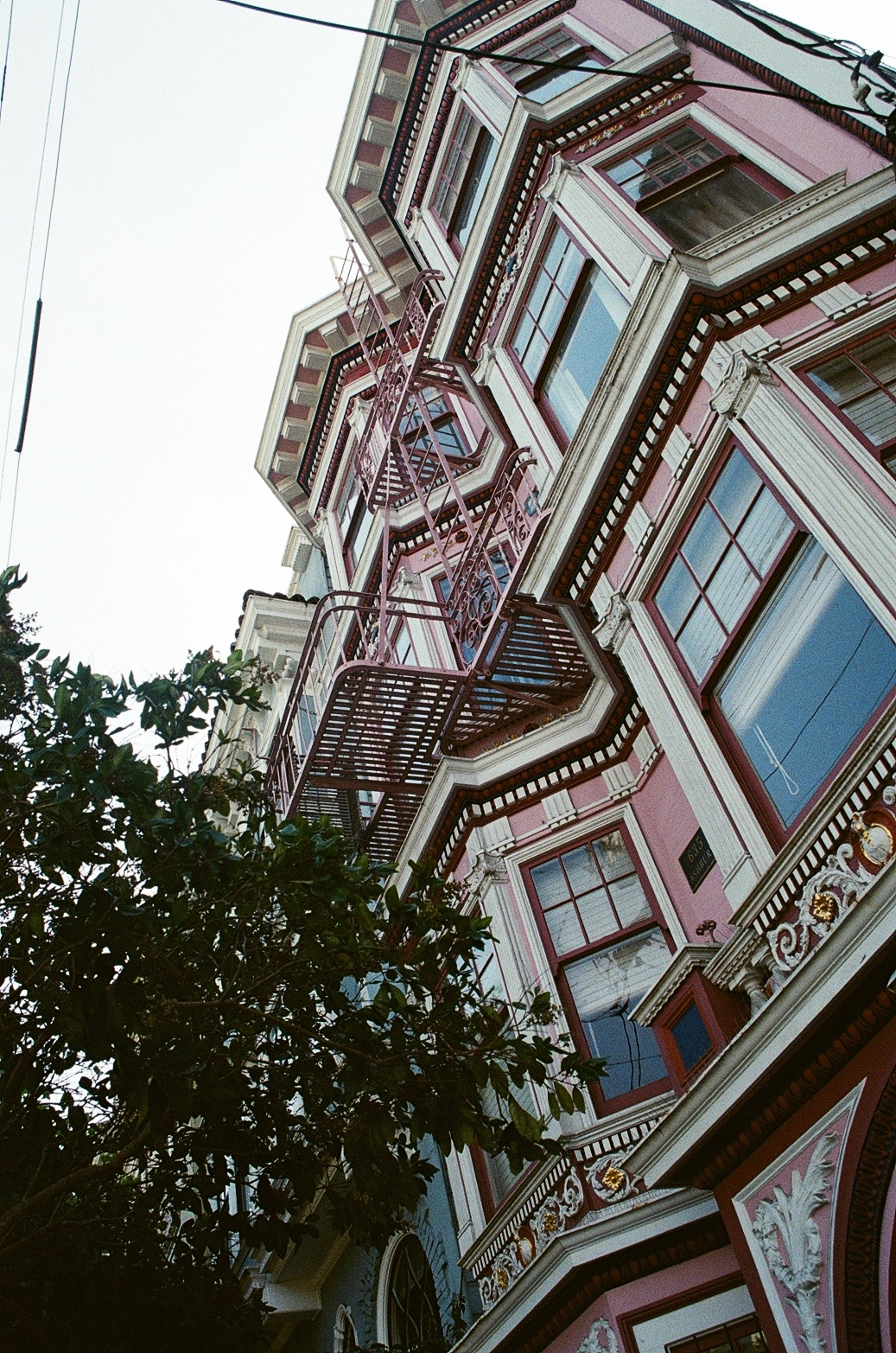 Color Film Photography — Zahra Baxi