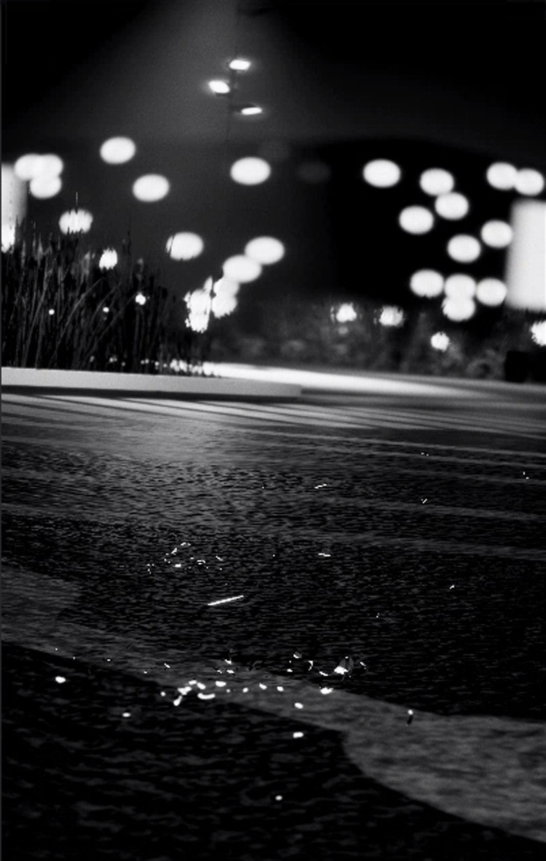 Unity Photography Reproduction — Maxime Bourstin