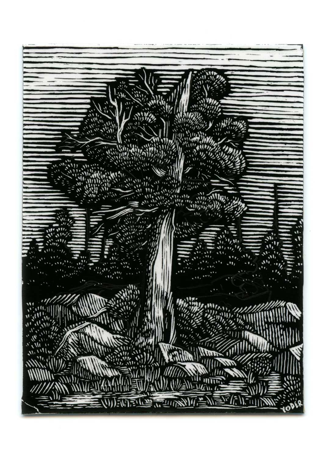 Store—Scratchboard Works — Nathan Douglas Yoder