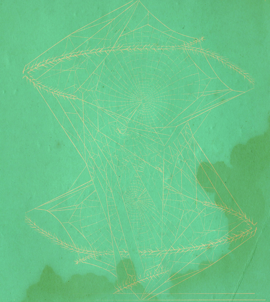 News — rosalindhall