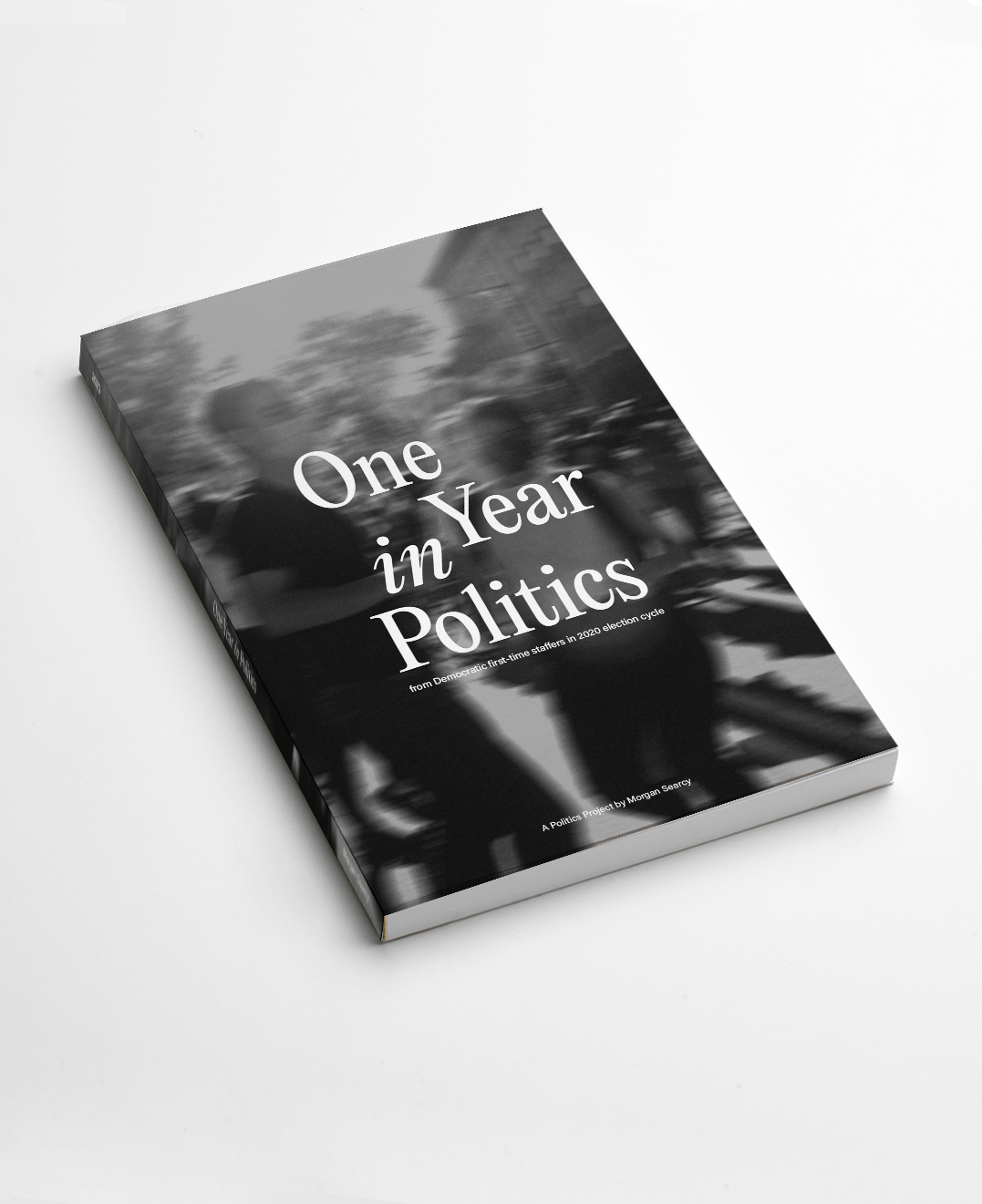 Book (Print) — politics project