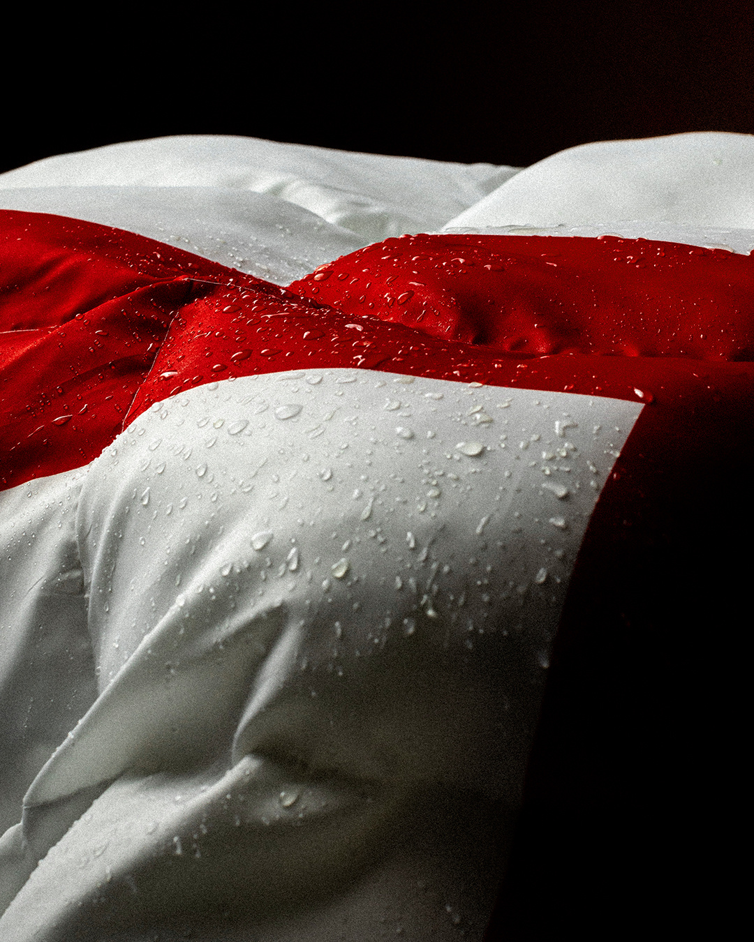 Warm Flags — Tom & Dylan