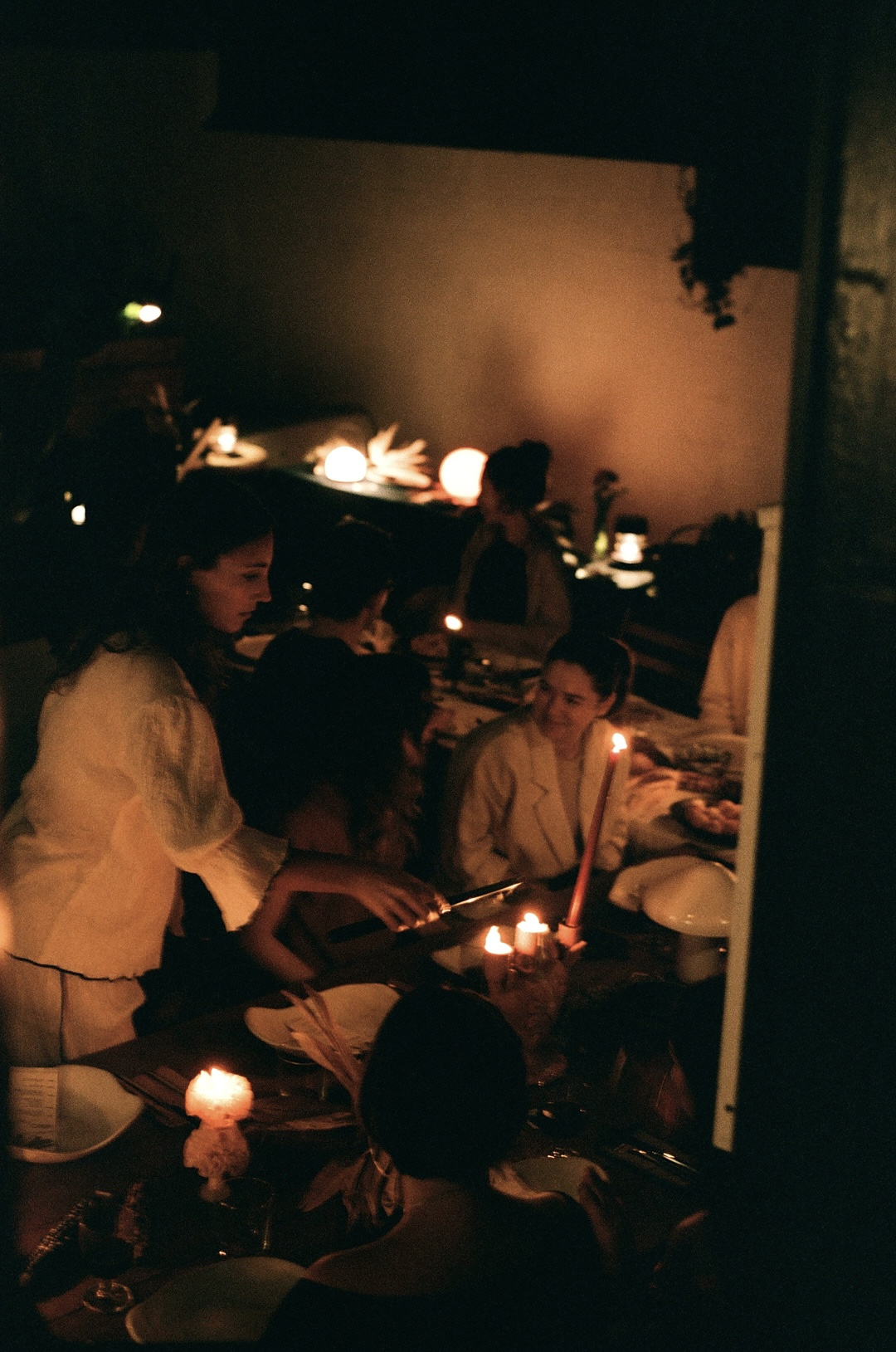 Honorable Harvest — Padma Earth