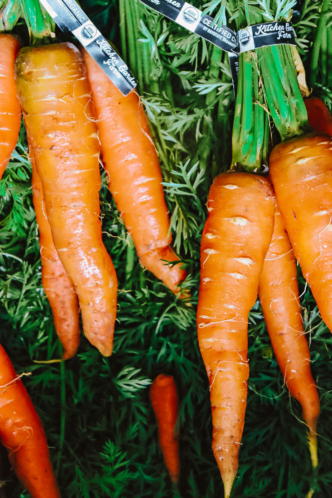 Forage – Locally Sourced Flavors