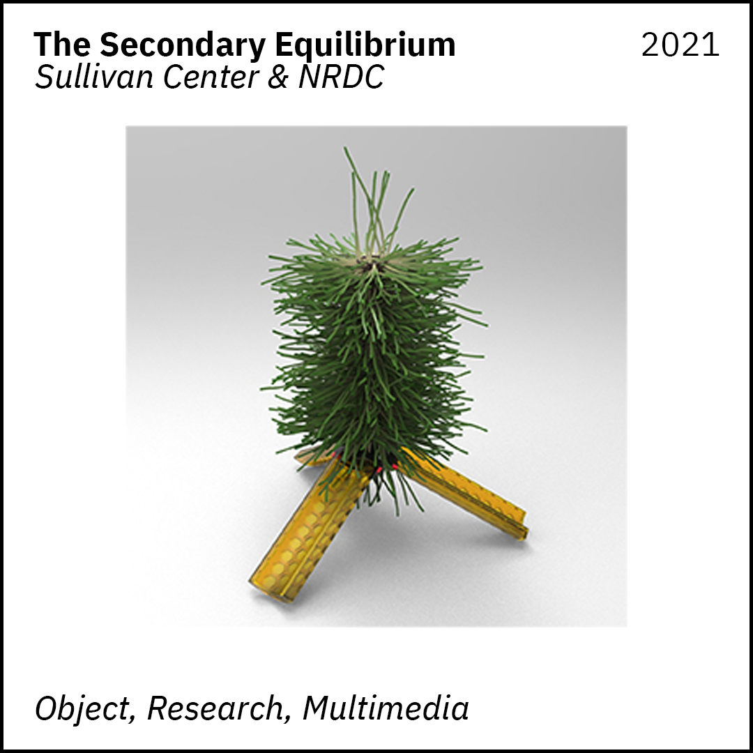 The Secondary Equilibrium — Ziming Wang