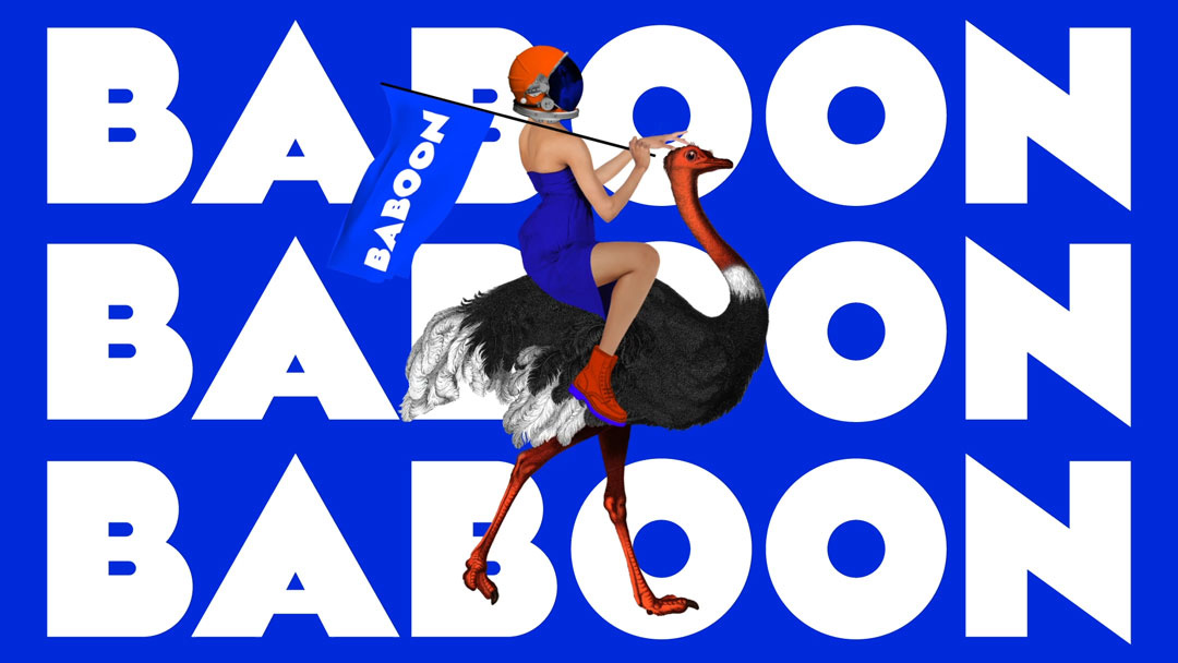 Baboon — Daniel Brokstad