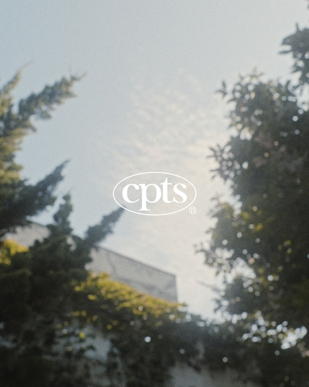 CPTS — understands.works