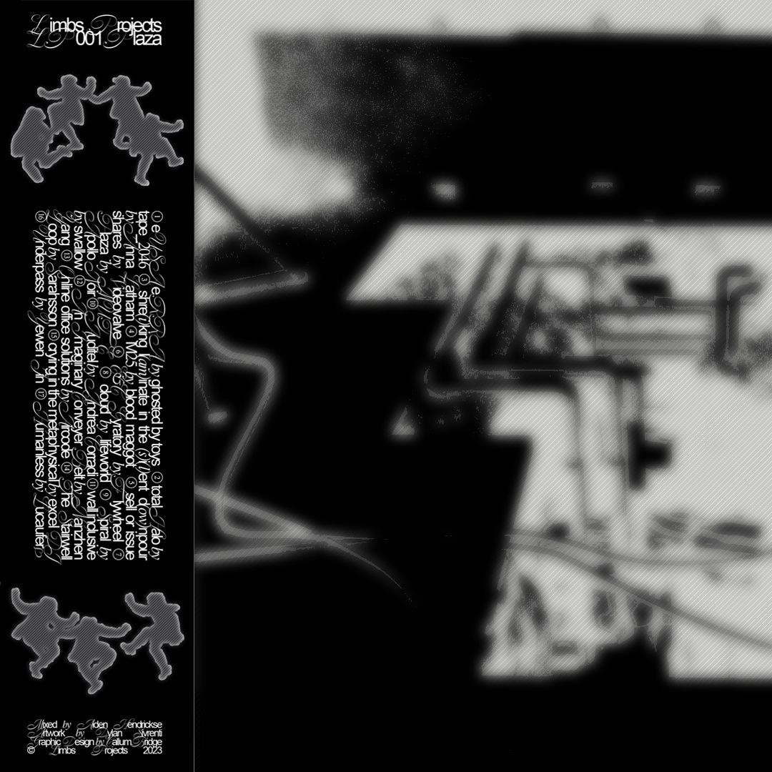 Limbs Vinyl + USB (2023) — Callum Bridge