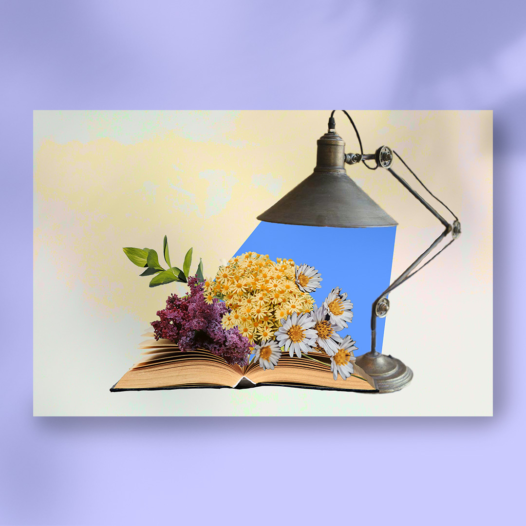 umi collages — Carolina Borges Sacoto // Graphic Designer