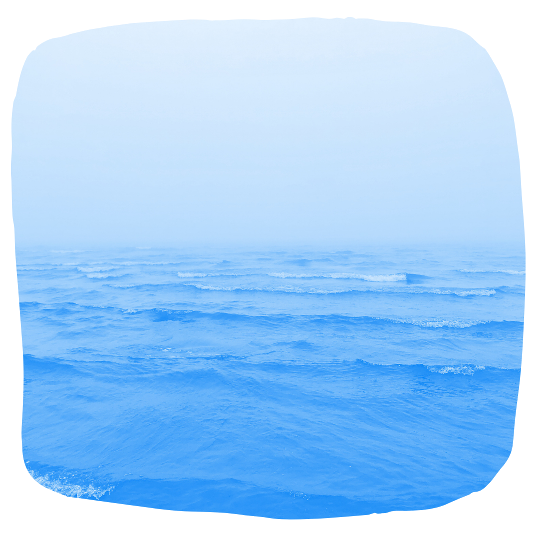 Sarah Bofenkamp — Sawbill Surf Club