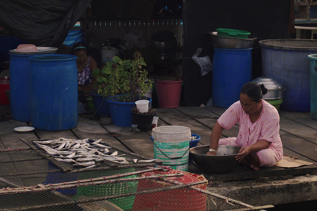 Landless — Bliss Lab