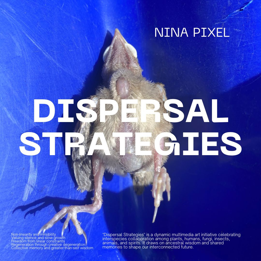 DISPERSAL_STRATEGIES — NINA PIXEL