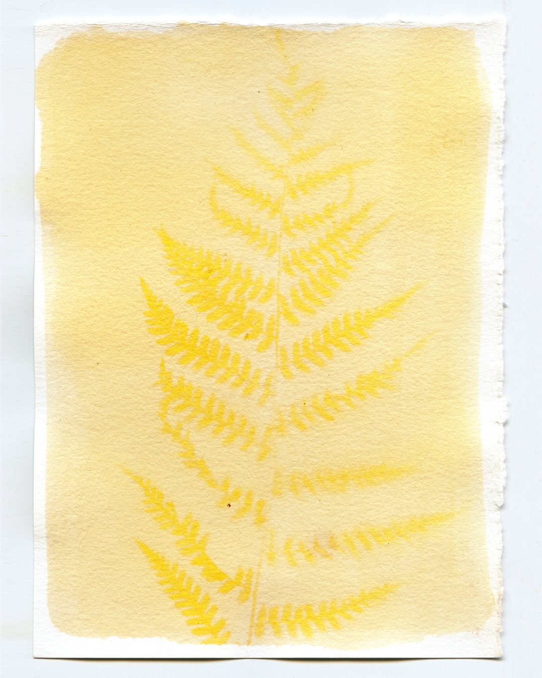 Every Shadow is a Clock — Leah Koransky Studio