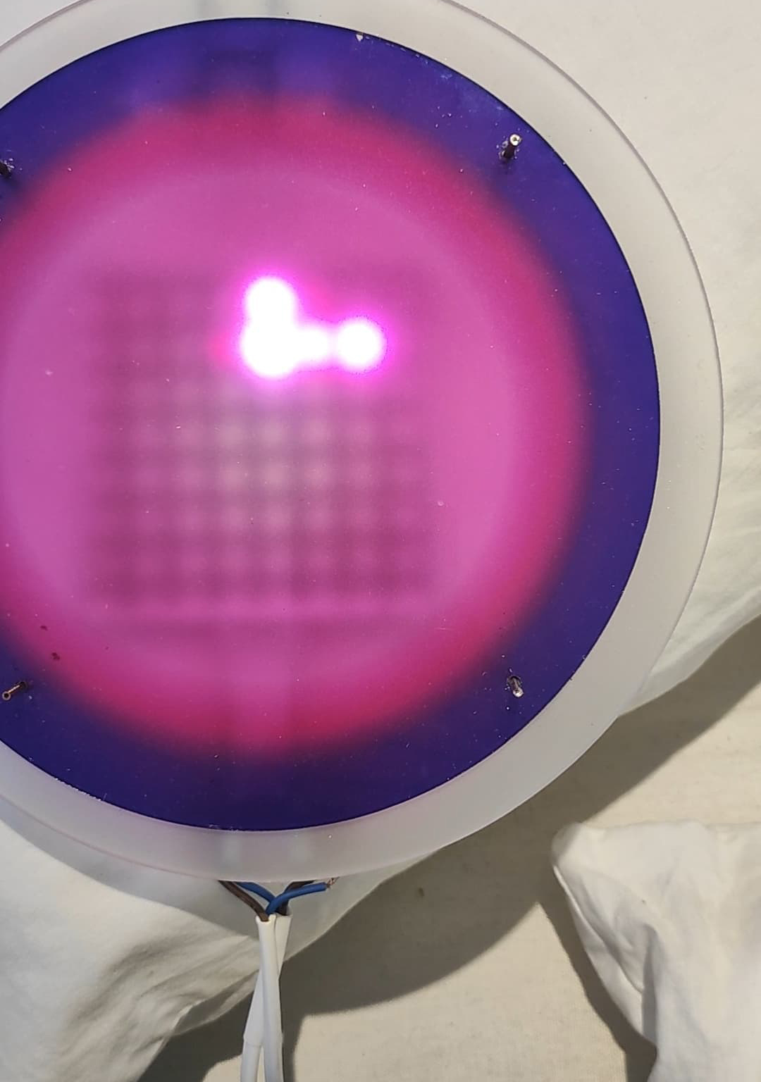 The Biological Screen — valentine.maurice