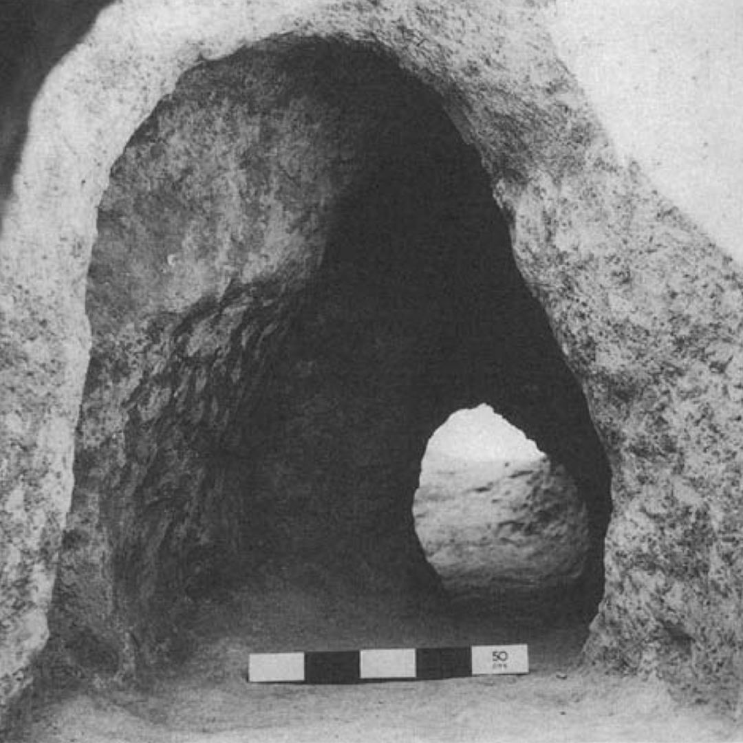 projects — www.cavetextiles.com