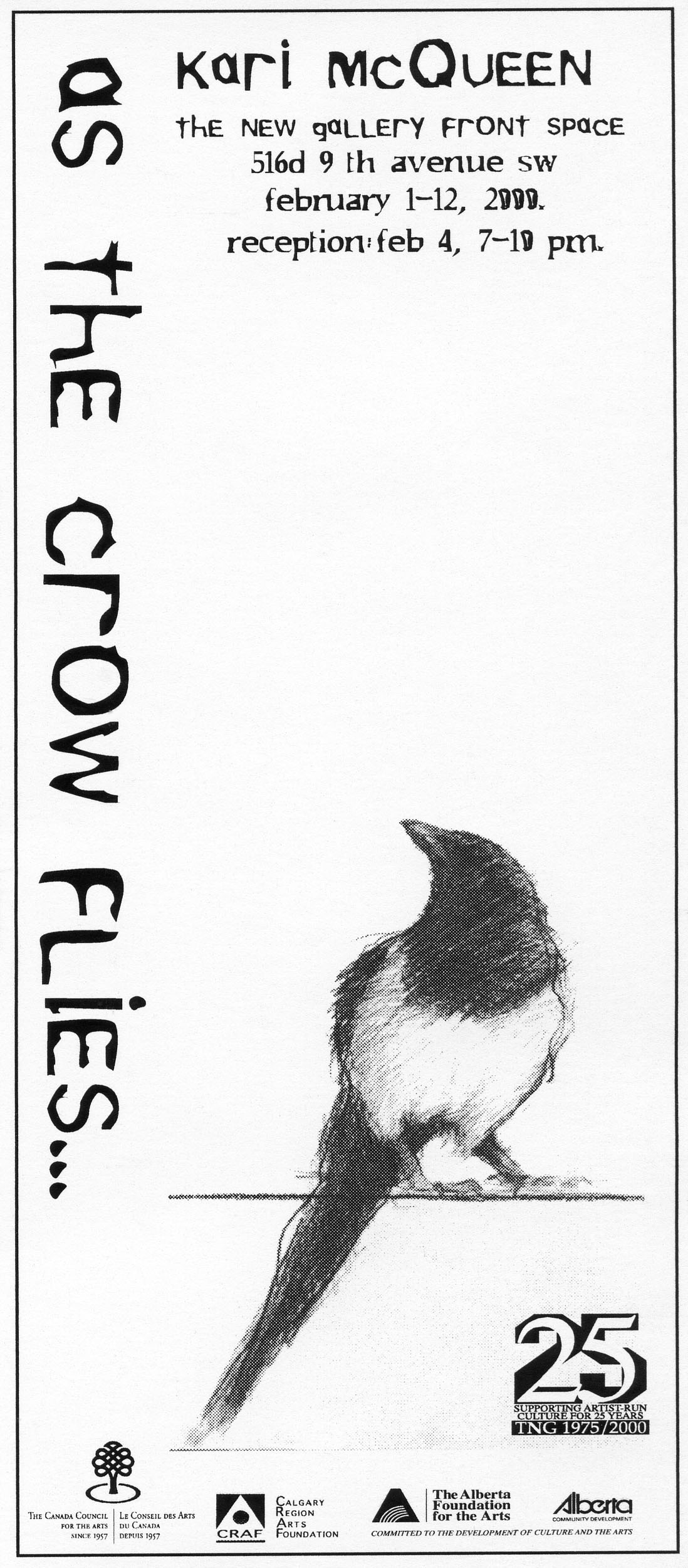 As the Crow Flies... / Kari McQueen — The New Gallery