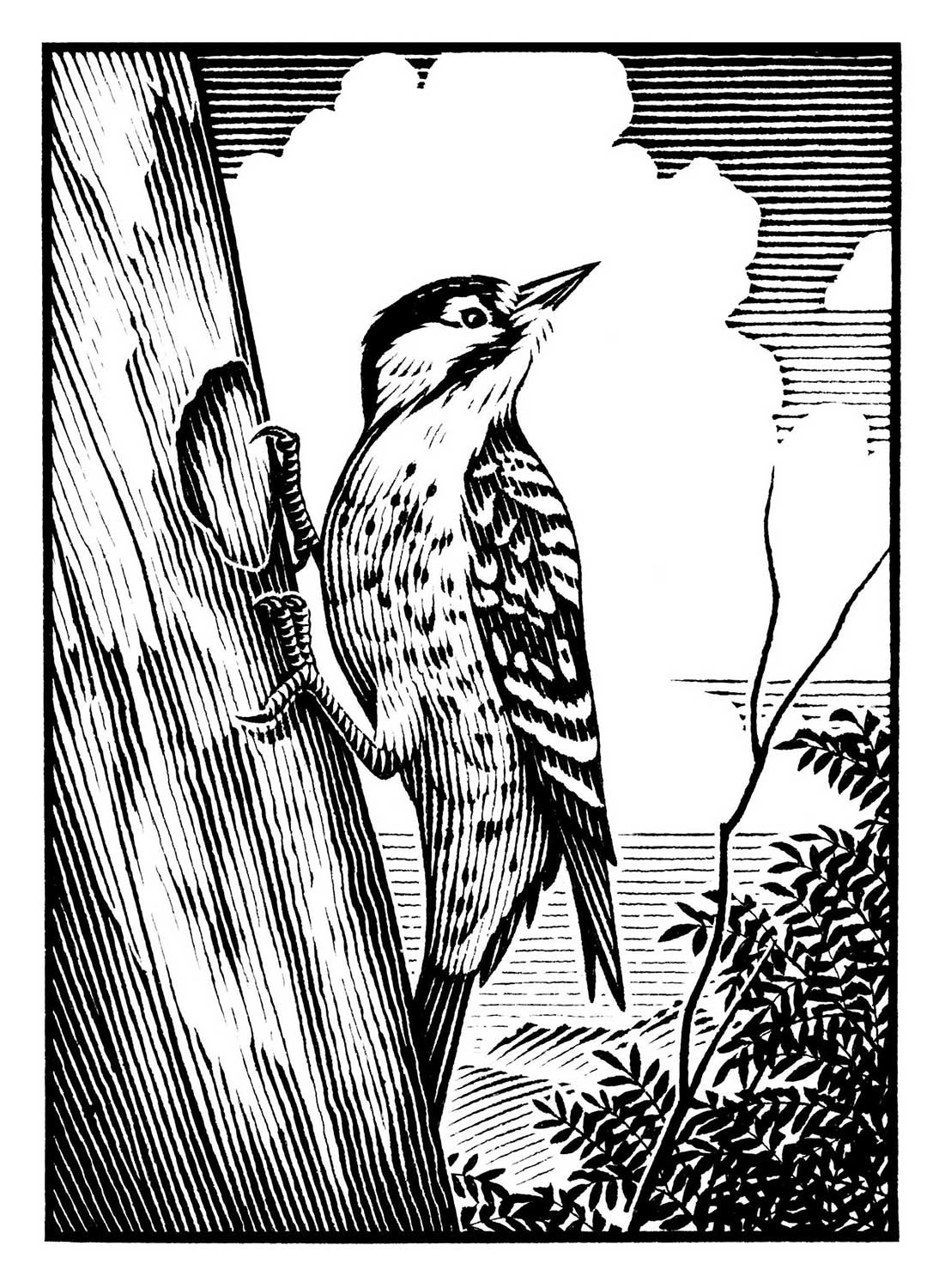 Scratchboard — Yondr Studio