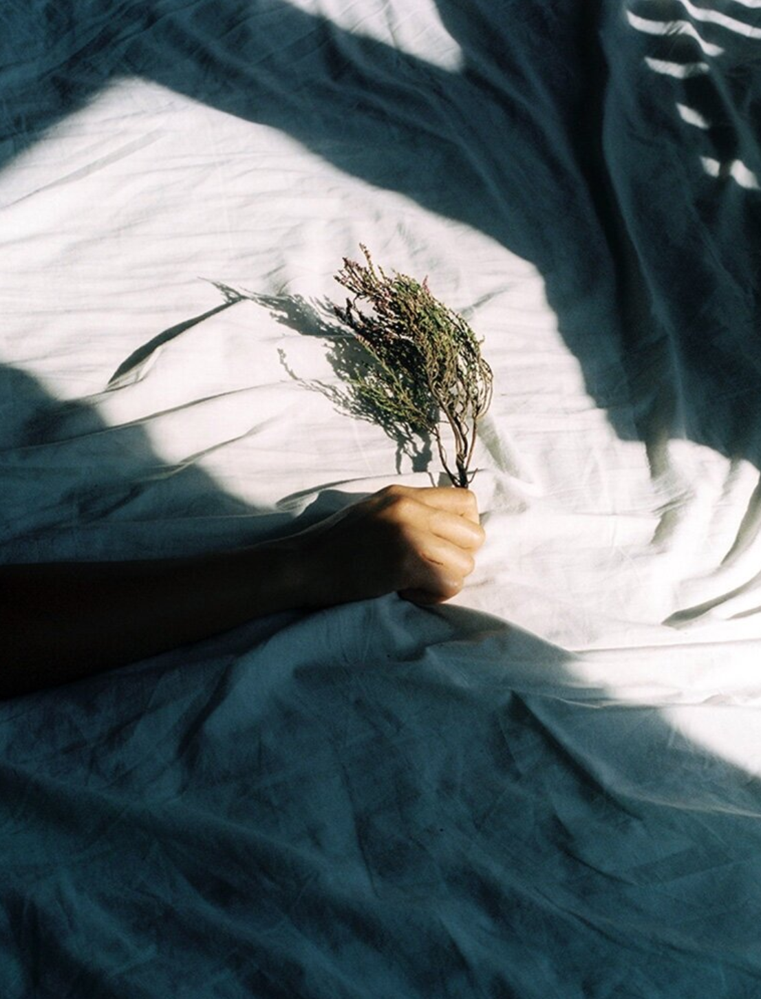 Identity, memory & mental health — Revolv Collective