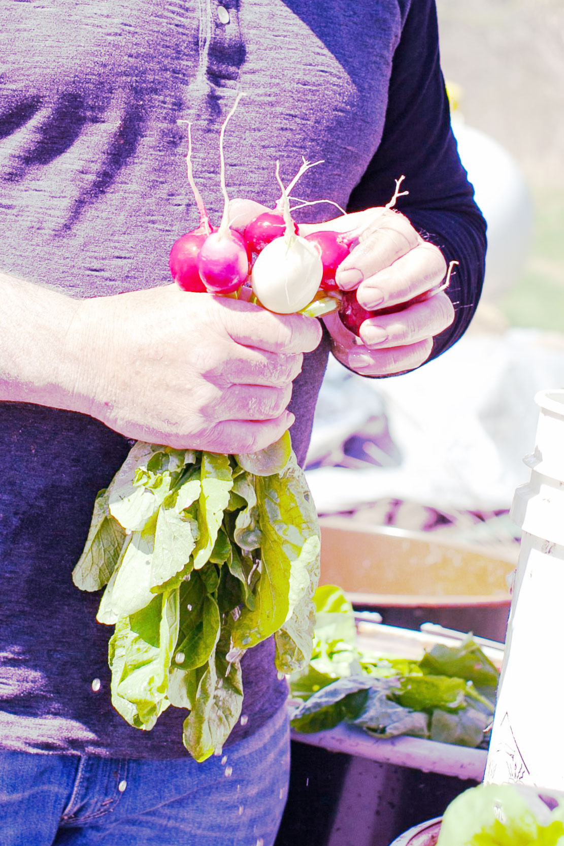 Who what why cta copy — Worlds End School of Thought, Agriculture and Craft