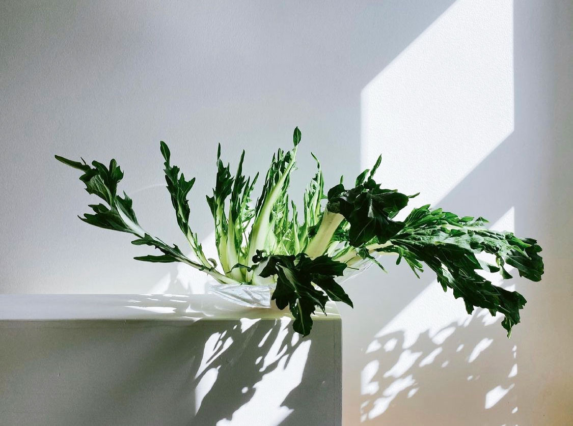 Second Slideshow — Plantting