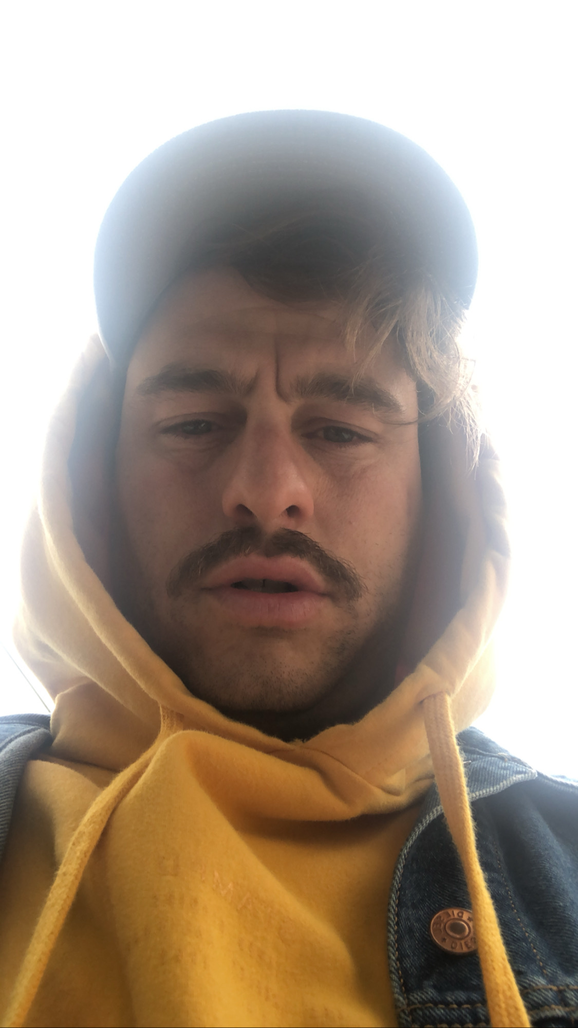 About — RABBIT ALLEY