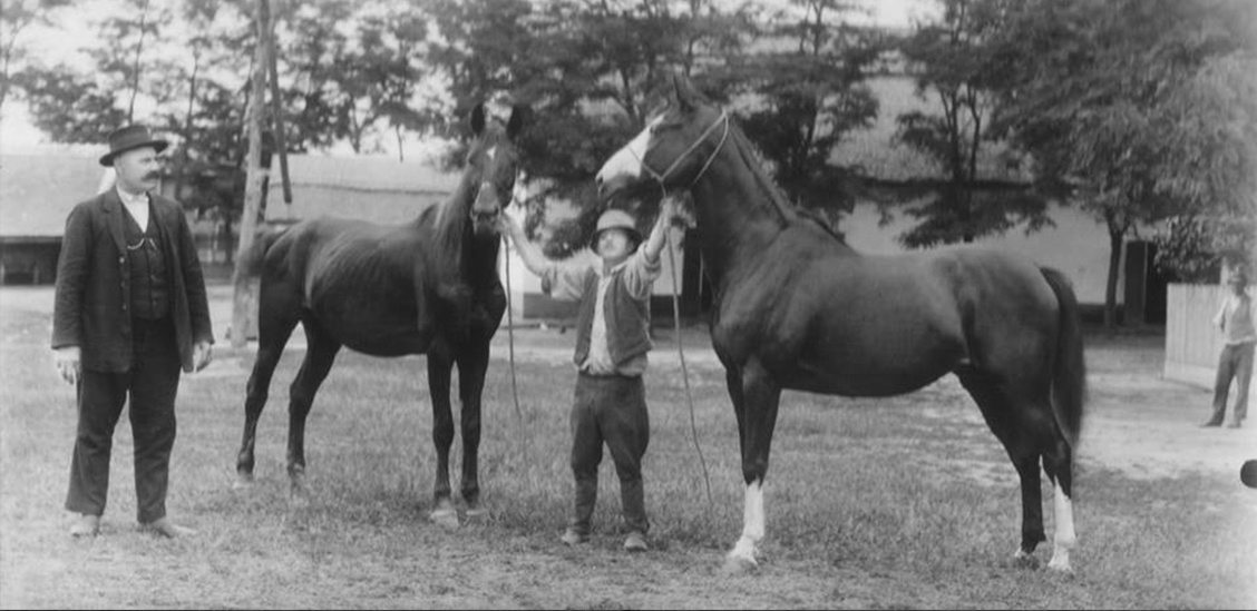 SINGING HORSES — ranch production