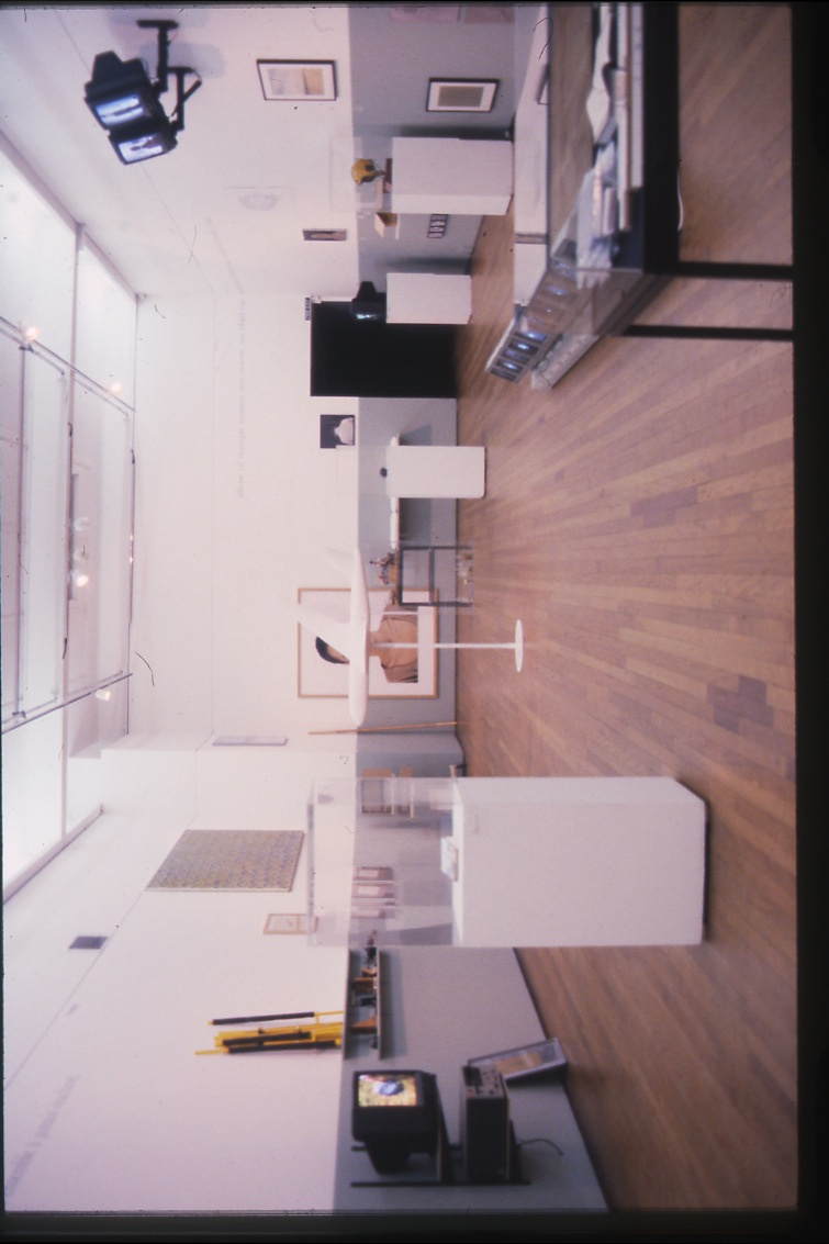 Institute of Cultural Anxiety — Works from the Collection (1994 ...
