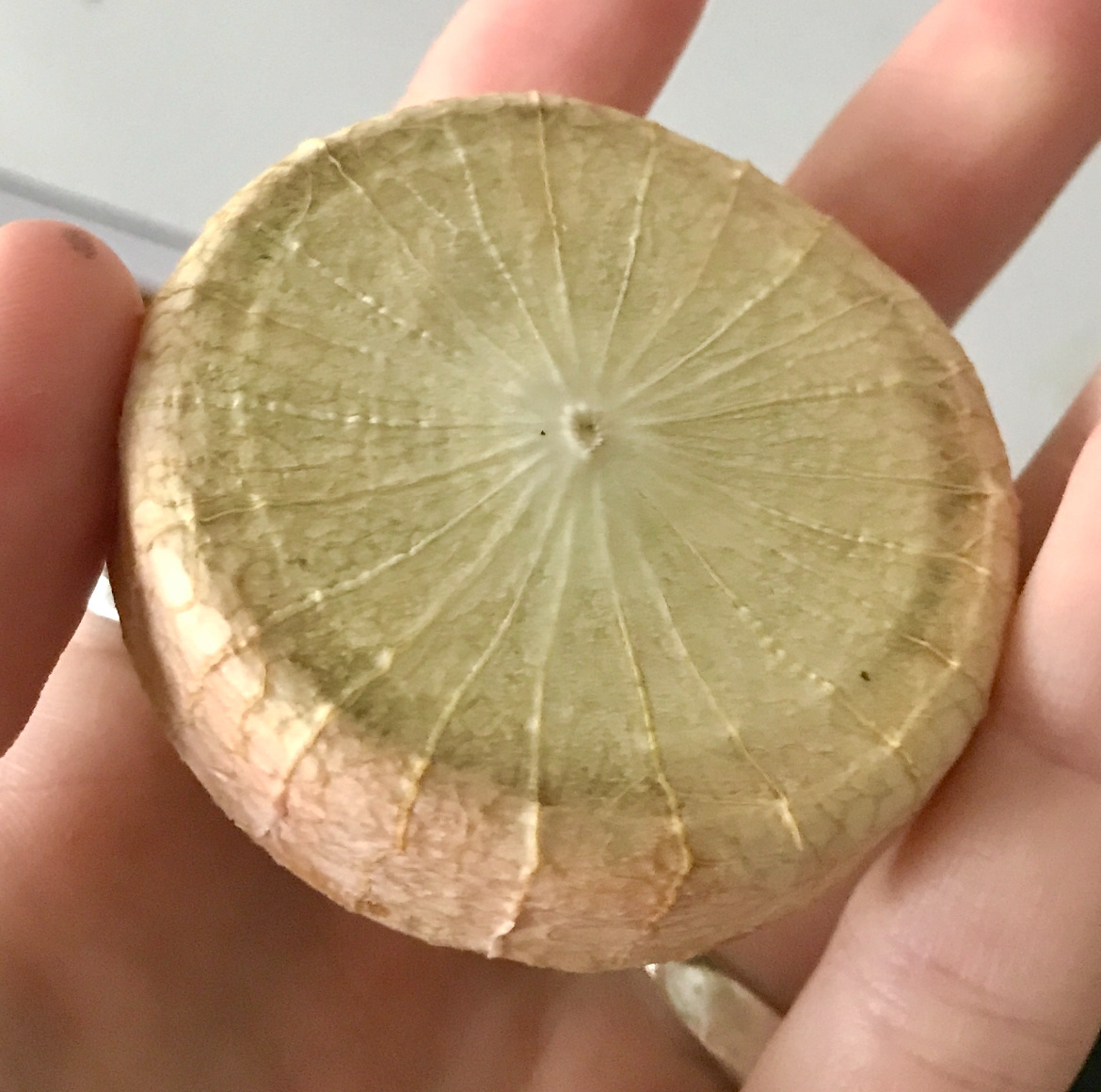 MoreIndex — Parrish Andre Design