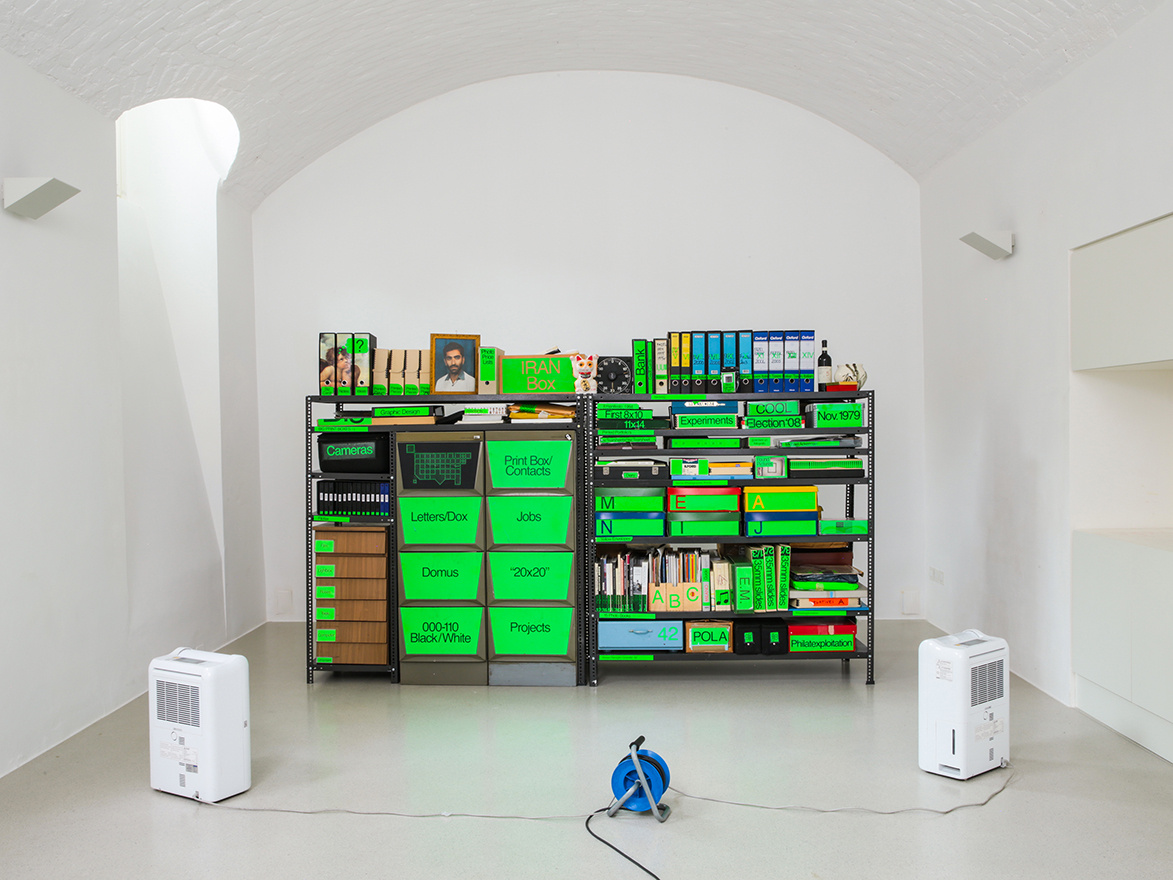 Ramak Fazel — Viasaterna