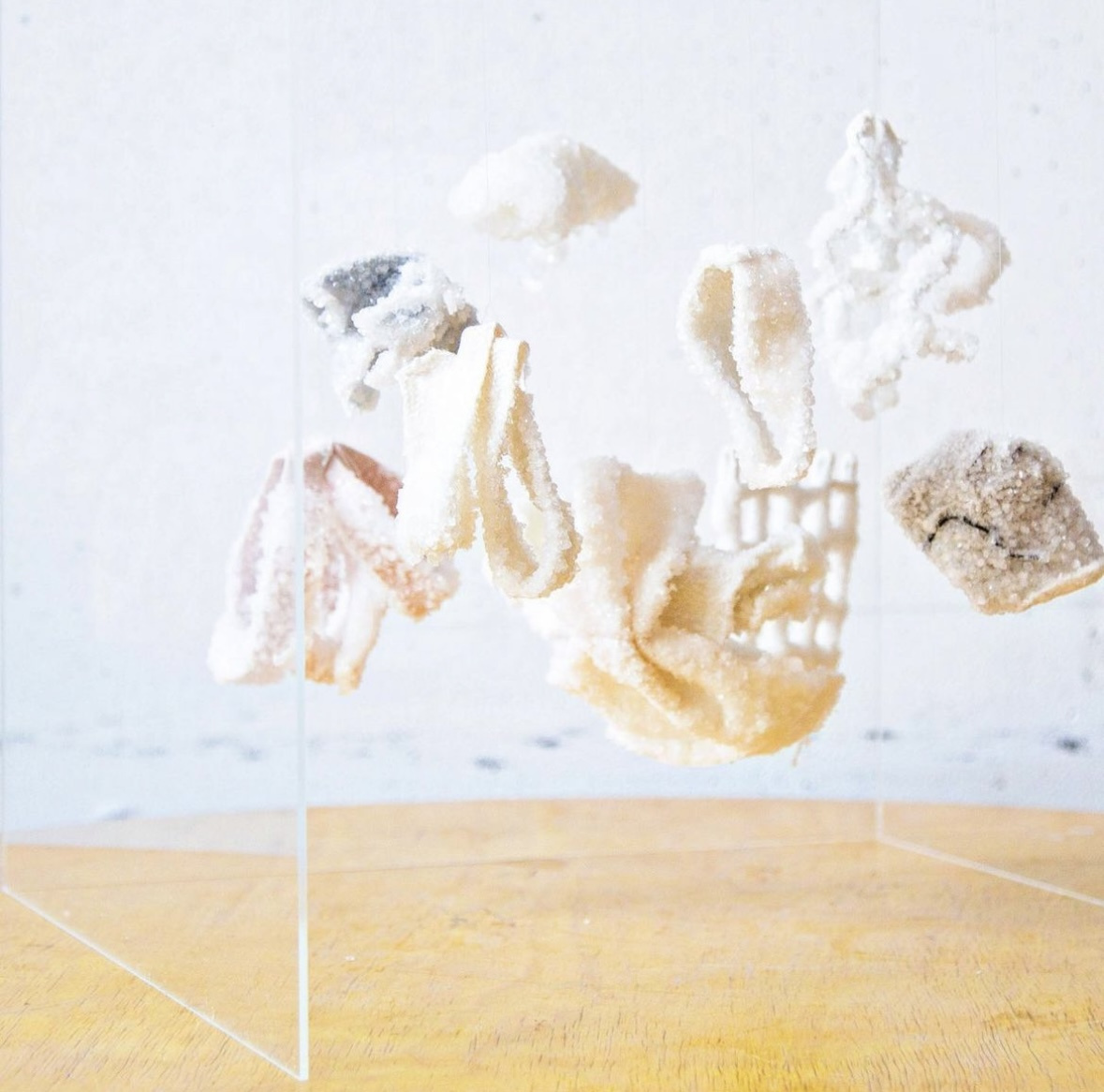 Life: Propagated — MJ WORKS