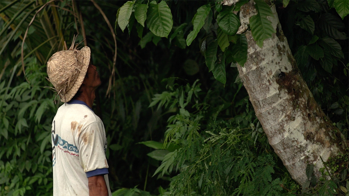 Wong Samar — Leyla Stevens