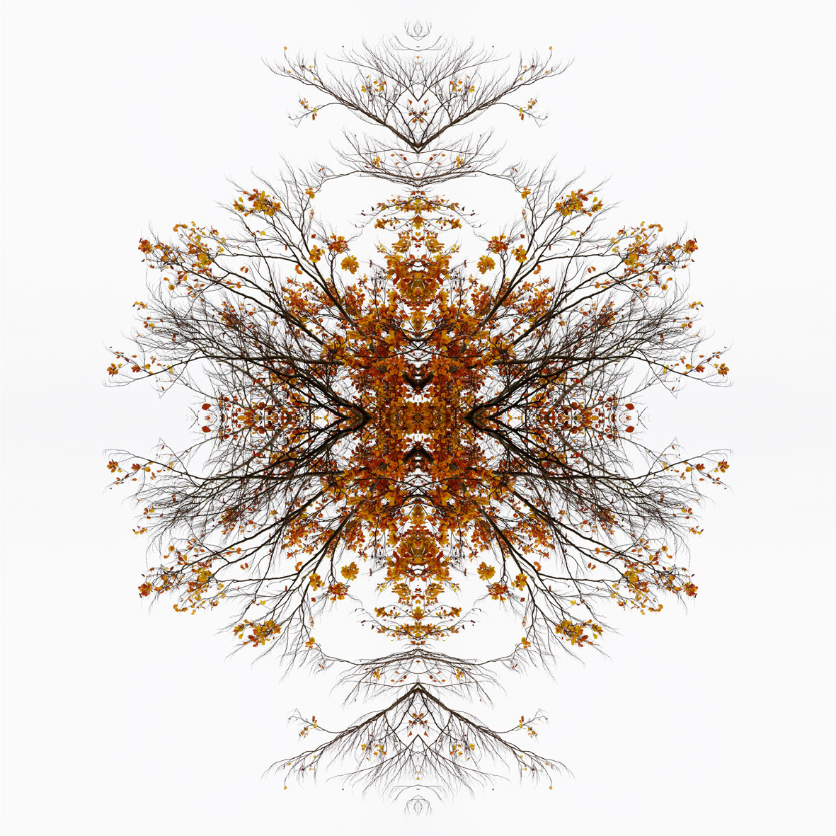 Woebegone — harrietclare.com