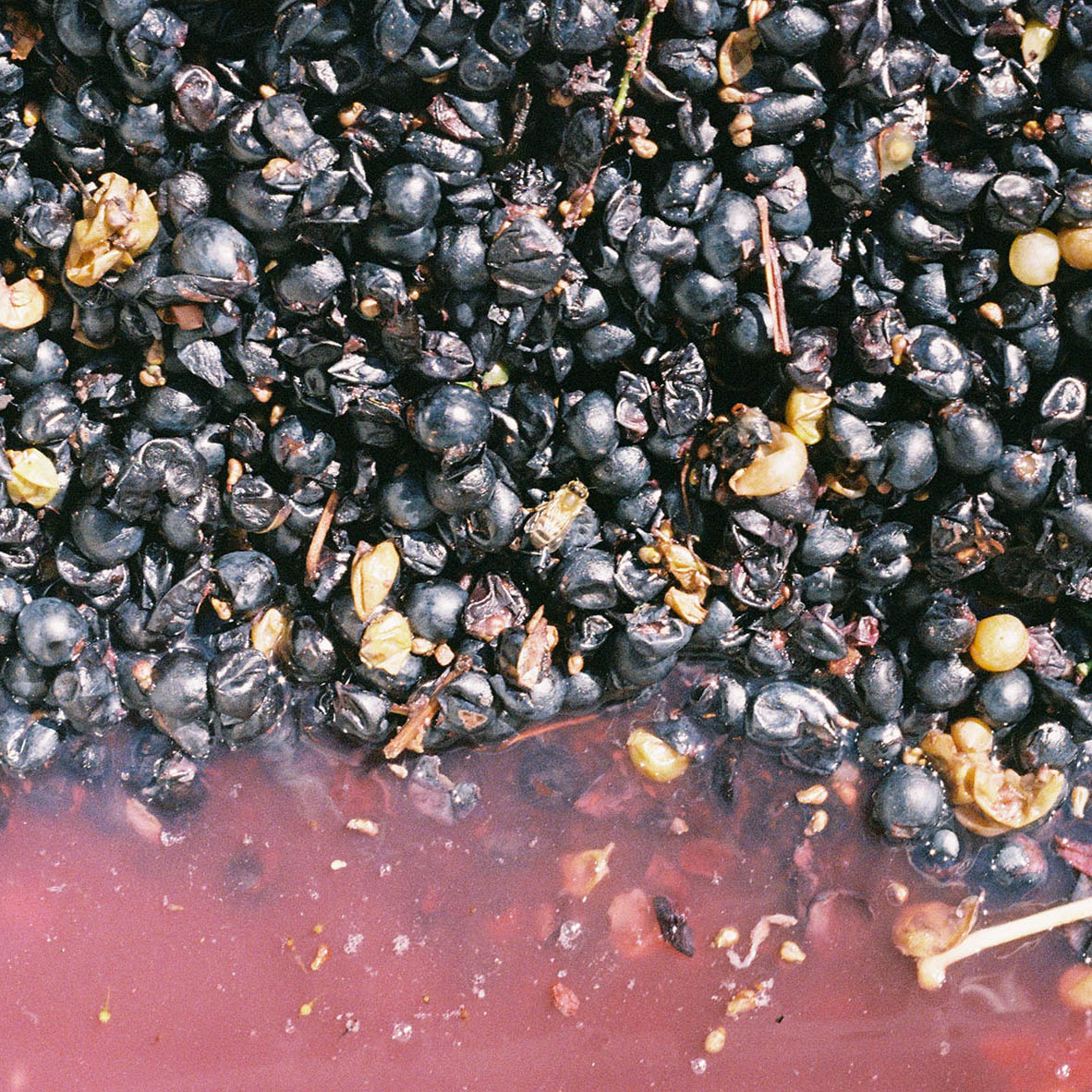 What To Do With Agricultural By-Products: An Incomplete Guide — Emily Simek