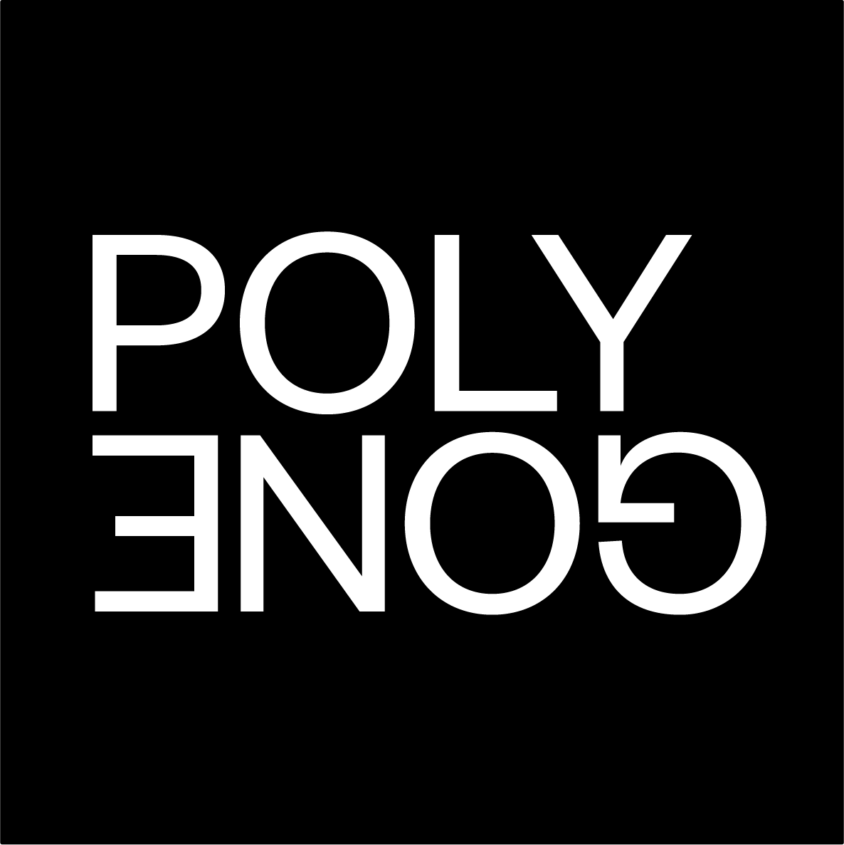 INFOS — POLYGONE